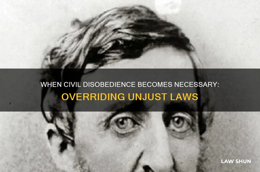 When Civil Disobedience Becomes Necessary: Overriding Unjust Laws | LawShun
