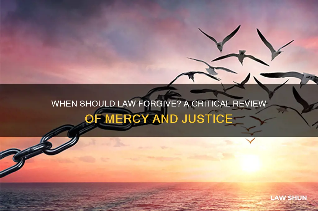 When Should Law Forgive? A Critical Review Of Mercy And Justice | LawShun