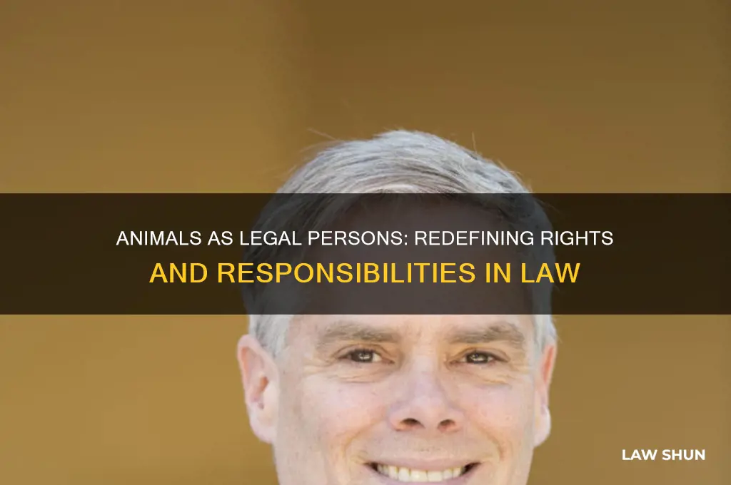 Animals As Legal Persons: Redefining Rights And Responsibilities In Law ...