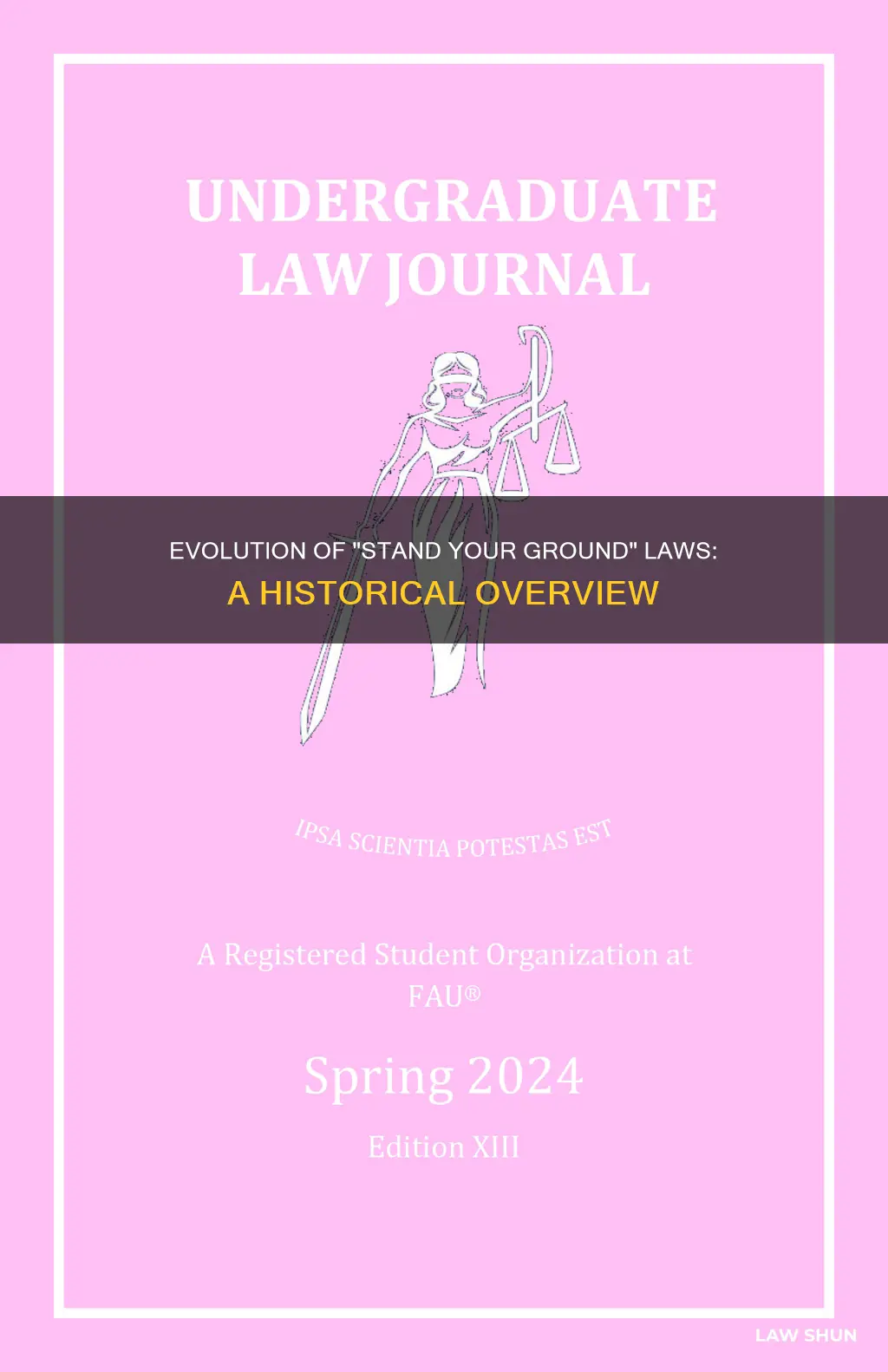 Evolution Of "Stand Your Ground" Laws: A Historical Overview | LawShun