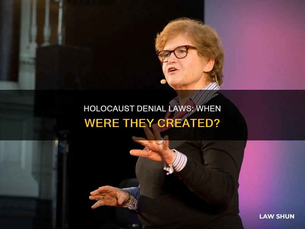 Holocaust Denial Laws: When Were They Created? | LawShun