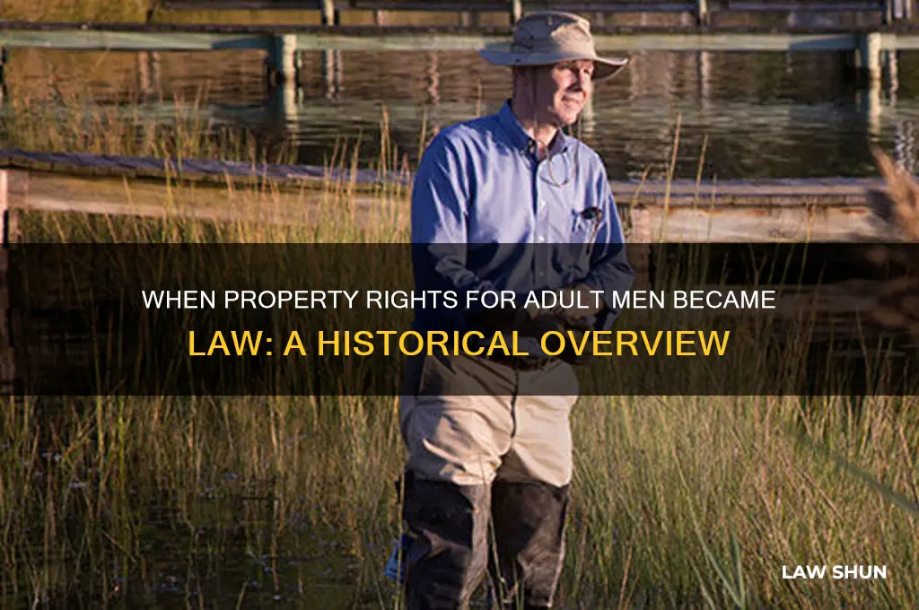 When Property Rights For Adult Men Became Law: A Historical Overview ...