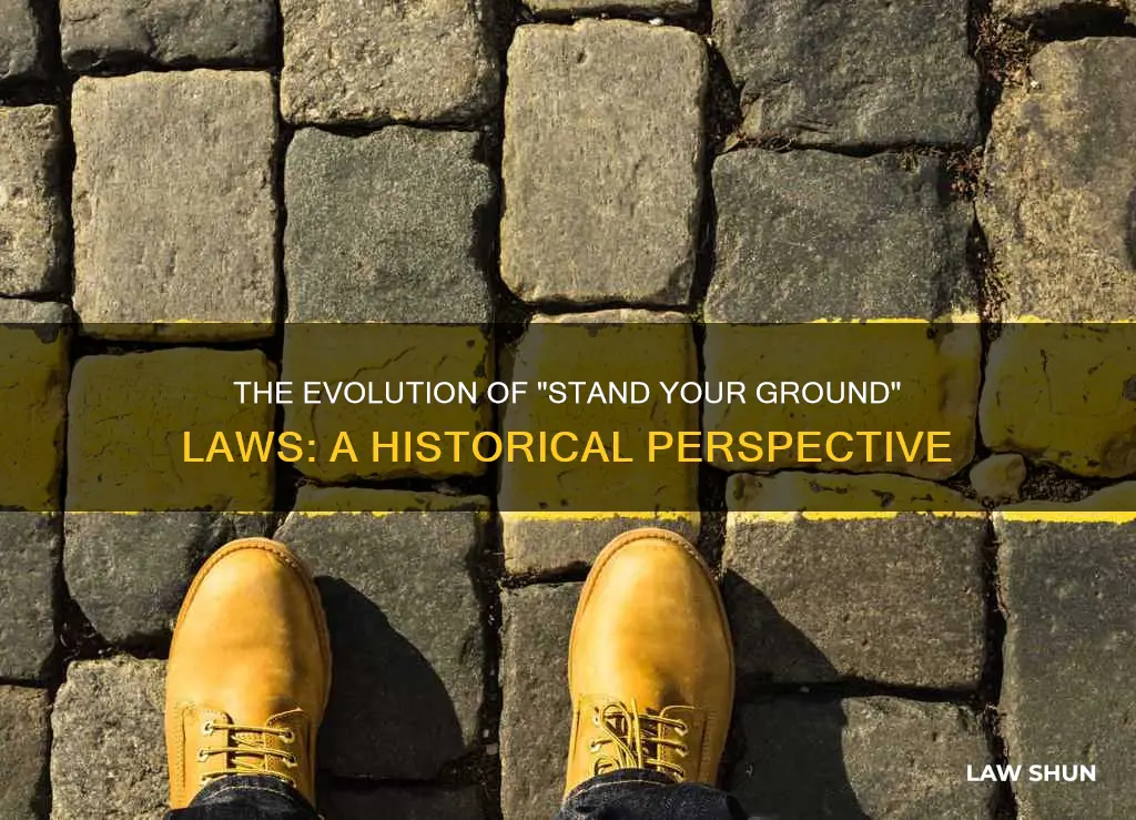 The Evolution Of "Stand Your Ground" Laws: A Historical Perspective ...