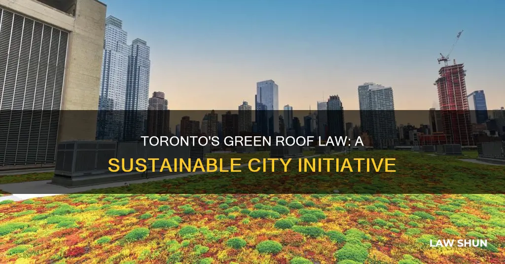 Toronto's Green Roof Law: A Sustainable City Initiative | LawShun
