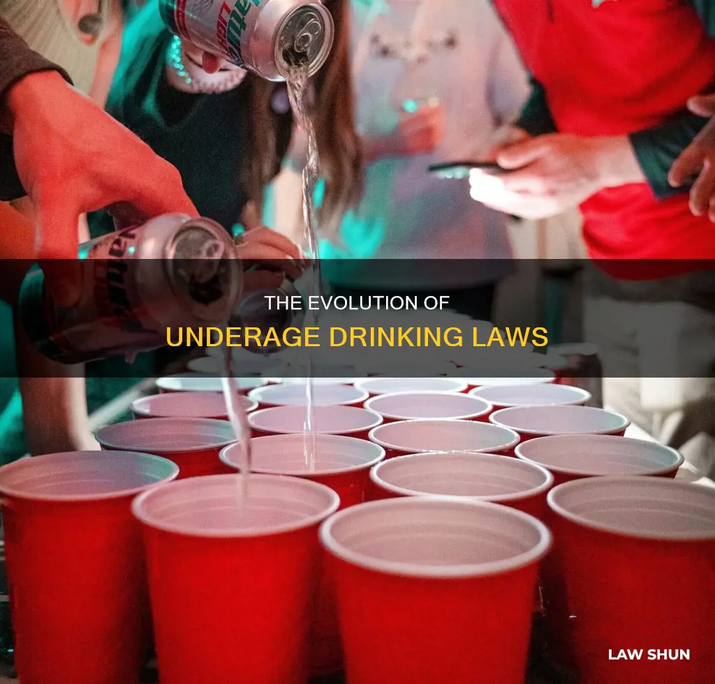 The Evolution Of Underage Drinking Laws | LawShun