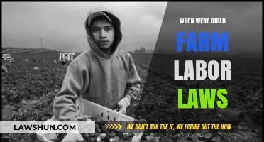 The Evolution Of Child Labor Laws In America: A Historical Overview ...
