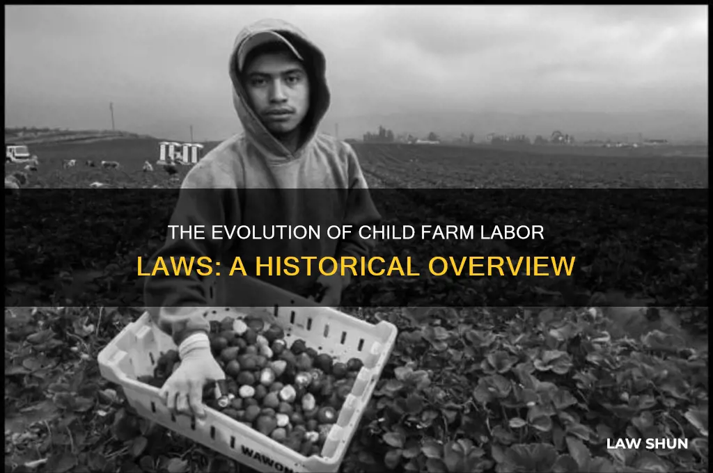 The Evolution Of Child Farm Labor Laws: A Historical Overview | LawShun