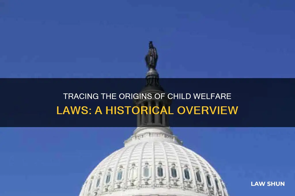 Tracing The Origins Of Child Welfare Laws: A Historical Overview | LawShun
