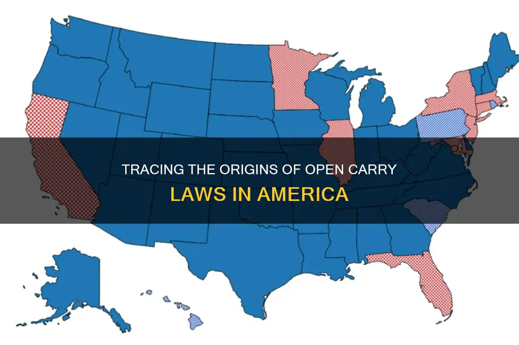 Tracing The Origins Of Open Carry Laws In America | LawShun