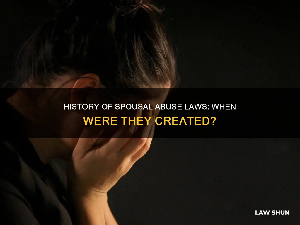 History Of Spousal Abuse Laws: When Were They Created? | LawShun
