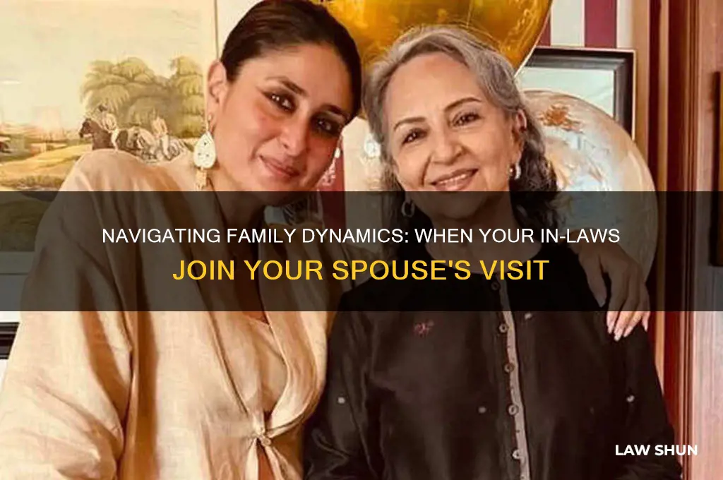 Navigating Family Dynamics: When Your In-Laws Join Your Spouse's Visit ...