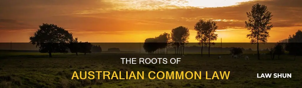 The Roots Of Australian Common Law | LawShun