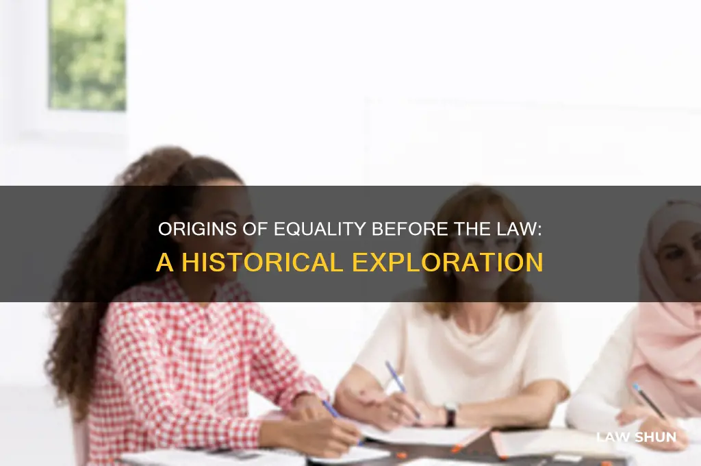 Origins Of Equality Before The Law: A Historical Exploration | LawShun