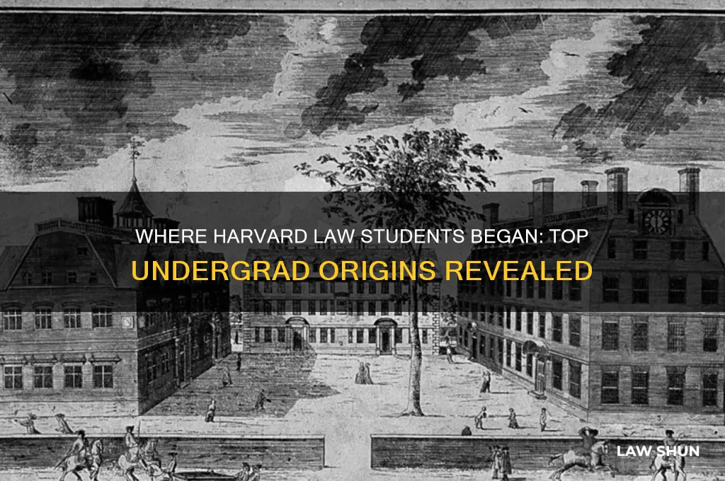 Where Harvard Law Students Began: Top Undergrad Origins Revealed | LawShun