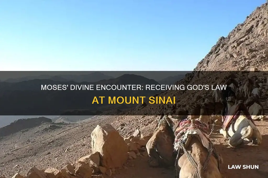 Moses' Divine Encounter: Receiving God's Law At Mount Sinai | LawShun