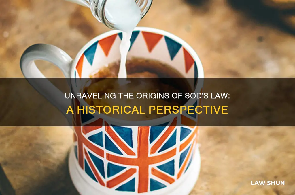 Unraveling The Origins Of Sod's Law: A Historical Perspective | LawShun