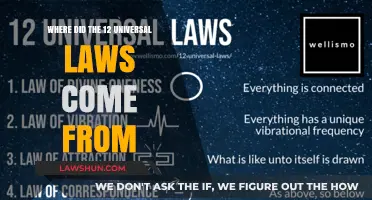 Moral Laws: Are They Universal Or Relative? | LawShun