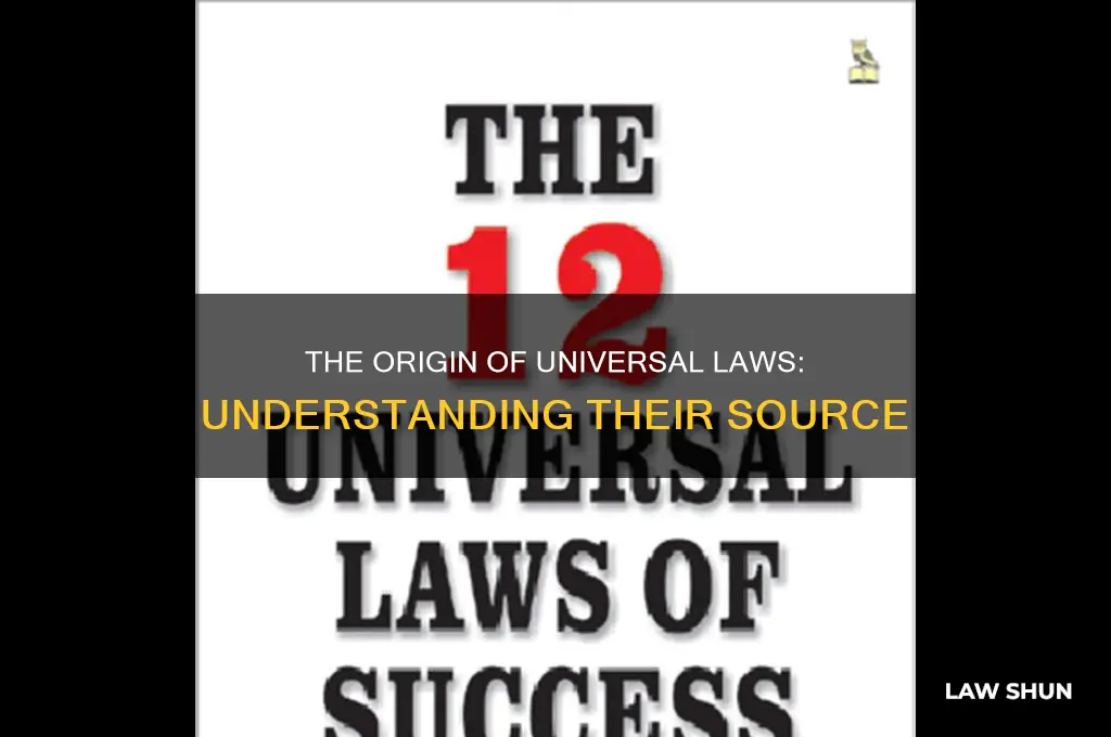 The Origin Of Universal Laws: Understanding Their Source | LawShun