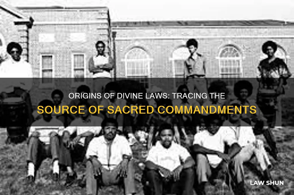 Origins Of Divine Laws: Tracing The Source Of Sacred Commandments | LawShun