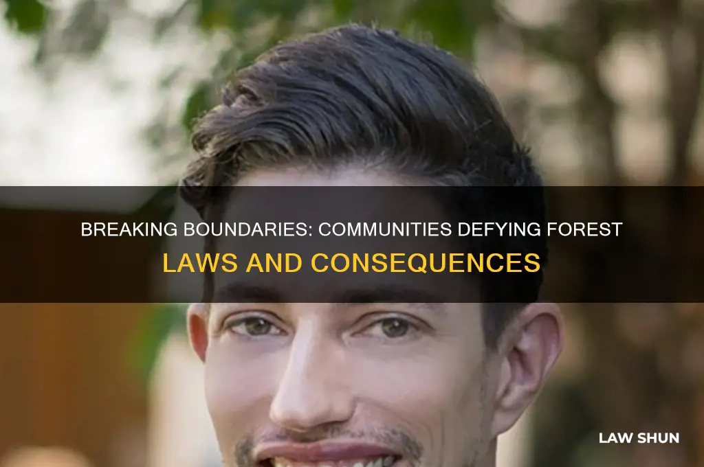 Breaking Boundaries: Communities Defying Forest Laws And Consequences ...