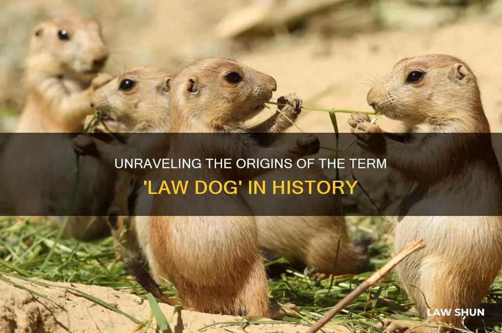 Unraveling The Origins Of The Term 'Law Dog' In History | LawShun