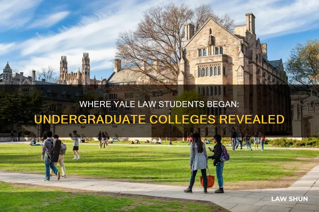 Where Yale Law Students Began: Undergraduate Colleges Revealed | LawShun