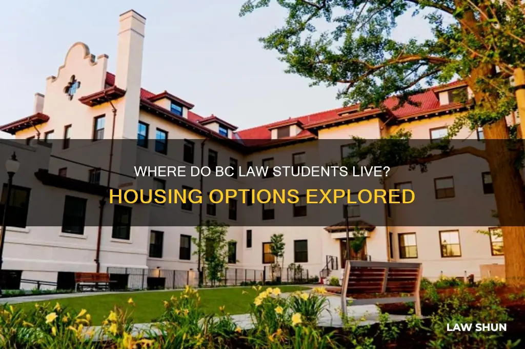 Where Do Bc Law Students Live? Housing Options Explored | LawShun