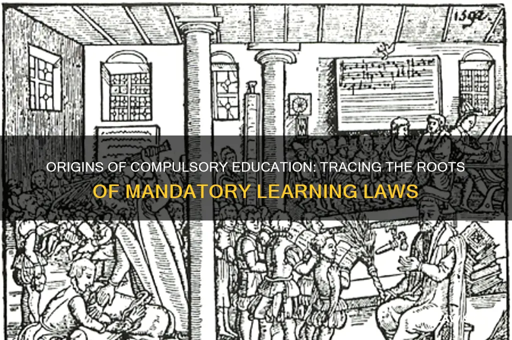Origins Of Compulsory Education: Tracing The Roots Of Mandatory ...