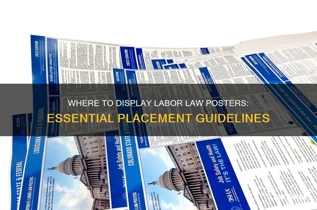 Where To Display Labor Law Posters: Essential Placement Guidelines ...