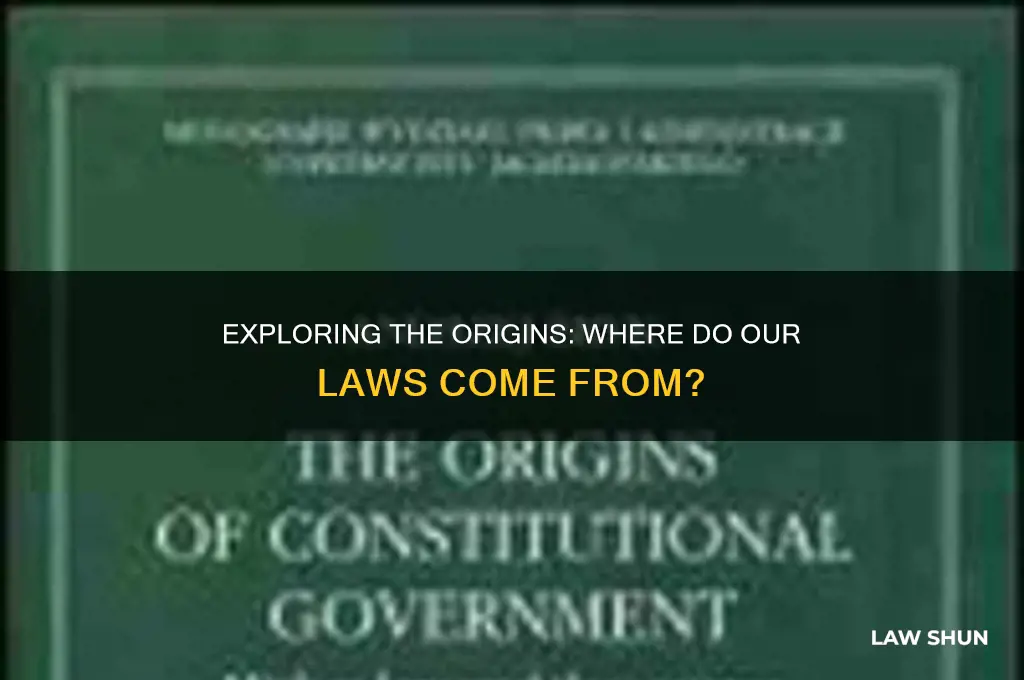 Exploring The Origins: Where Do Our Laws Come From? | LawShun