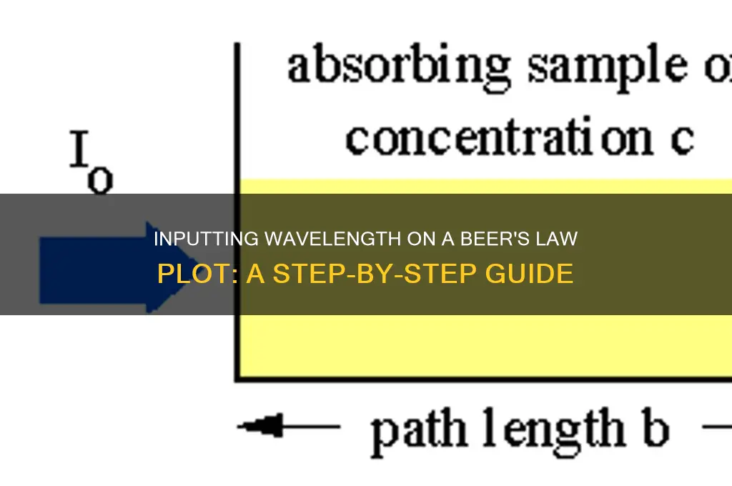 Inputting Wavelength On A Beer's Law Plot: A Step-By-Step Guide | LawShun