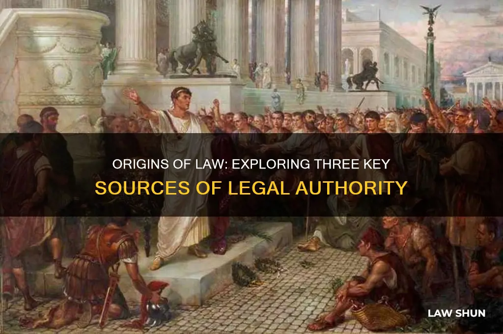 Origins Of Law: Exploring Three Key Sources Of Legal Authority | LawShun