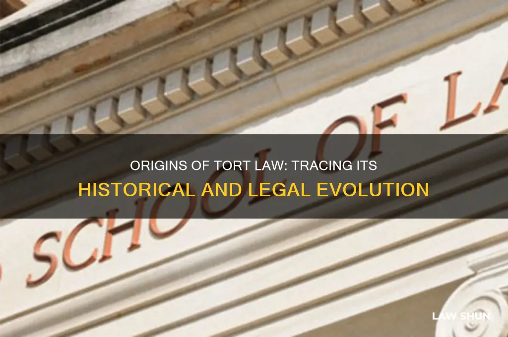 Origins Of Tort Law: Tracing Its Historical And Legal Evolution | LawShun