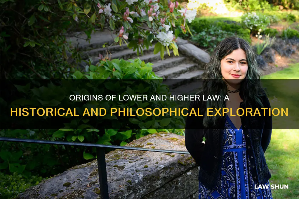 Origins Of Lower And Higher Law: A Historical And Philosophical ...