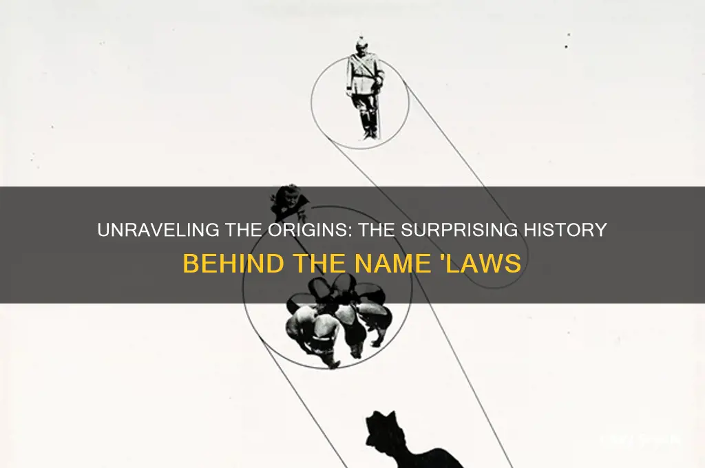Unraveling The Origins: The Surprising History Behind The Name 'Laws ...
