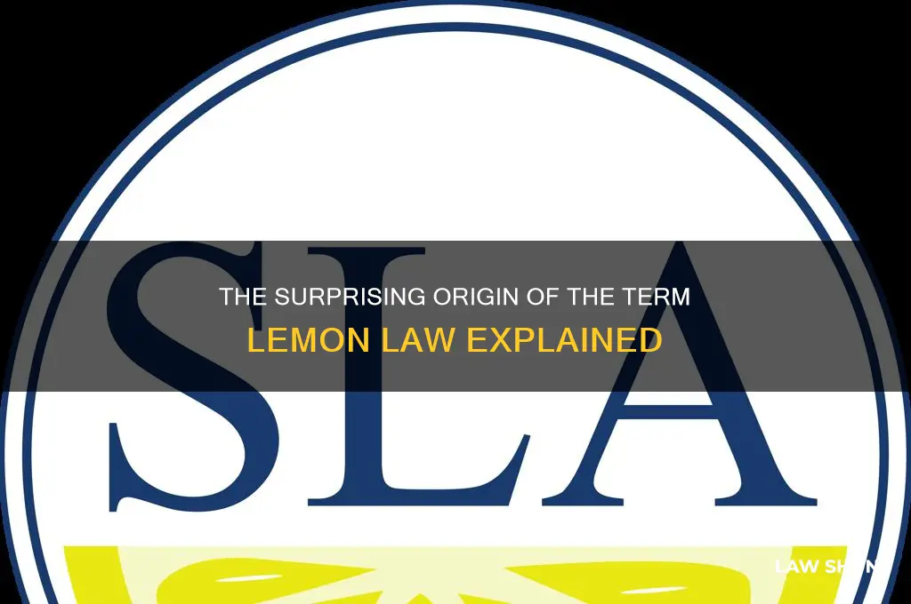 The Surprising Origin Of The Term Lemon Law Explained | LawShun