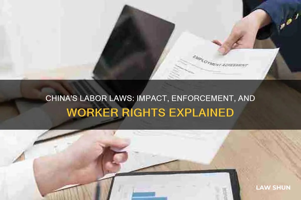 China's Labor Laws: Impact, Enforcement, And Worker Rights Explained ...