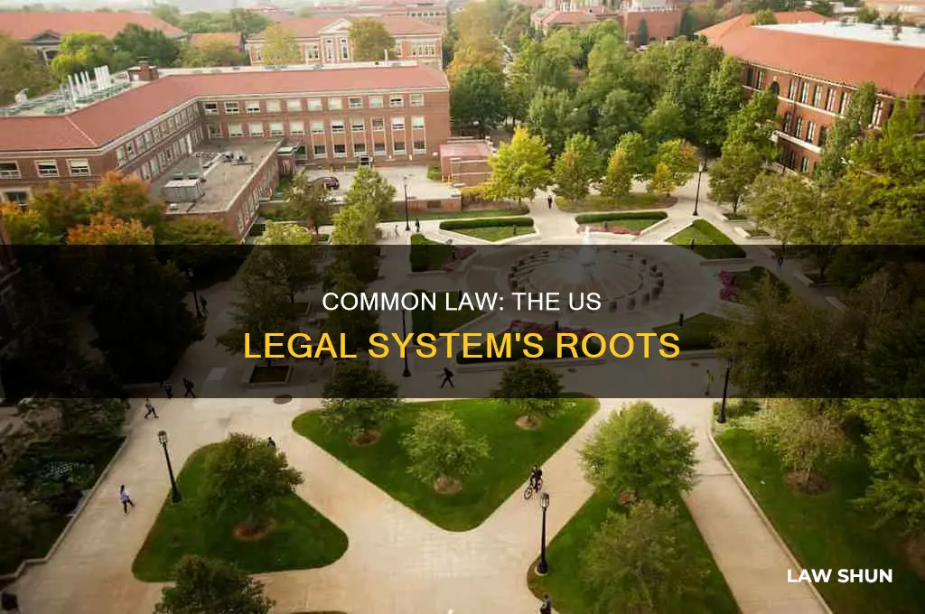 Common Law: The Us Legal System's Roots | LawShun