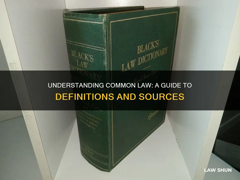 Understanding Common Law: A Guide To Definitions And Sources | LawShun