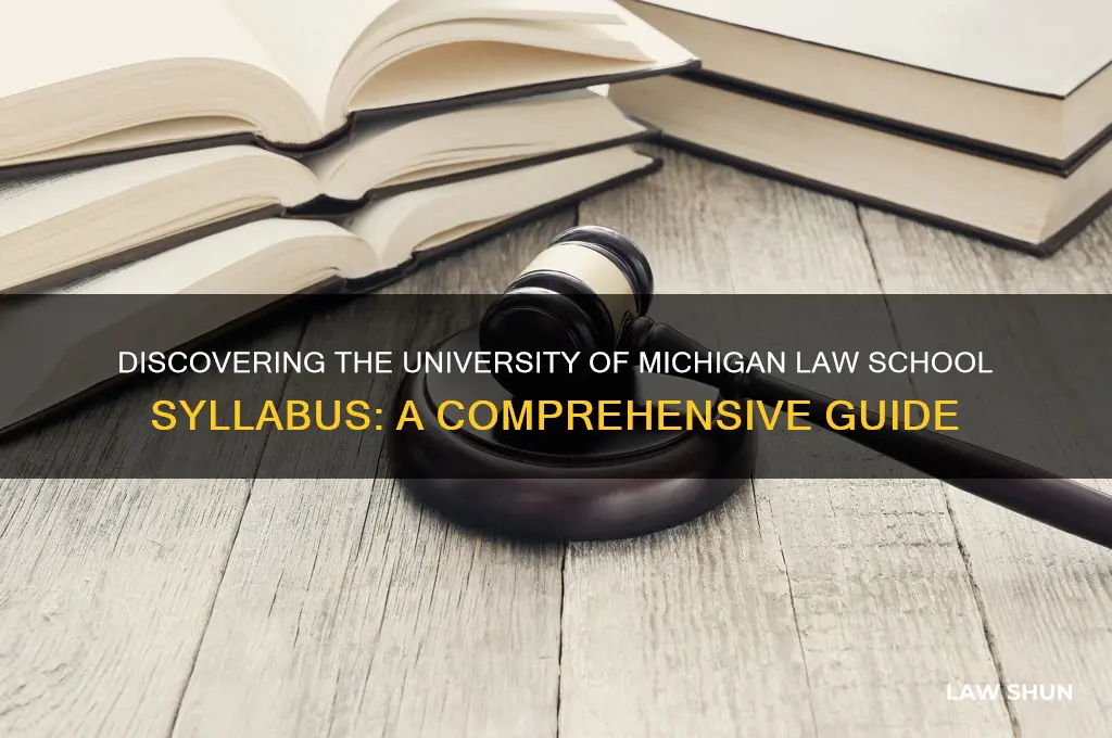 Discovering The University Of Michigan Law School Syllabus: A ...