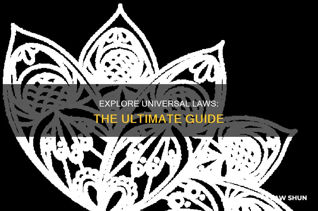 Explore Universal Laws: The Ultimate Guide | LawShun