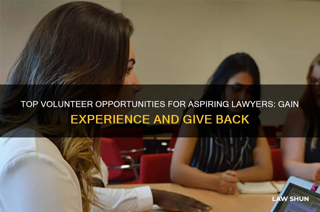 Top Volunteer Opportunities For Aspiring Lawyers: Gain Experience And ...