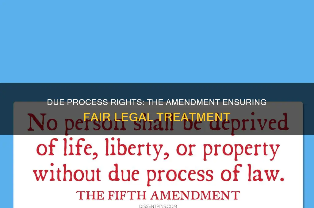 Due Process Rights: The Amendment Ensuring Fair Legal Treatment | LawShun