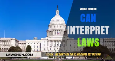 The Power To Veto: Legislative Branch's Role | LawShun