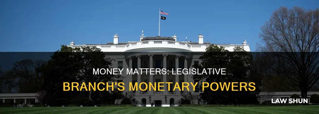 Money Matters: Legislative Branch's Monetary Powers | LawShun