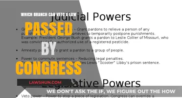 Enforcing The Law: Which Branch Holds The Power? | LawShun