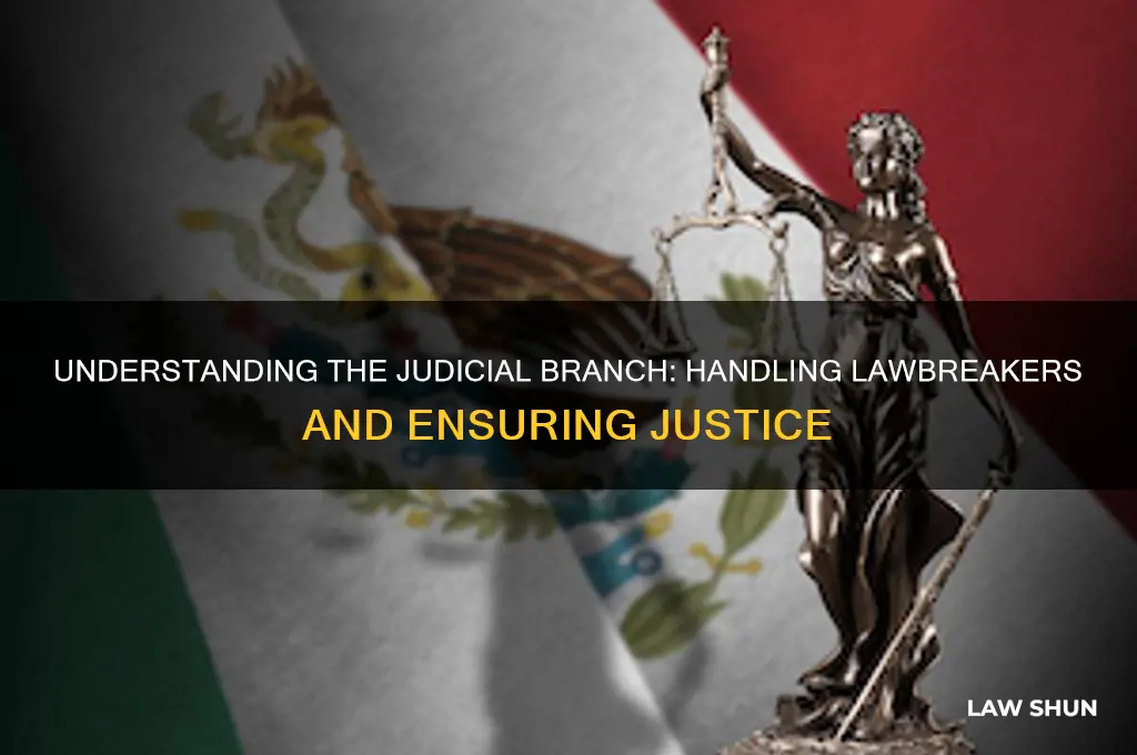 Understanding The Judicial Branch: Handling Lawbreakers And Ensuring ...