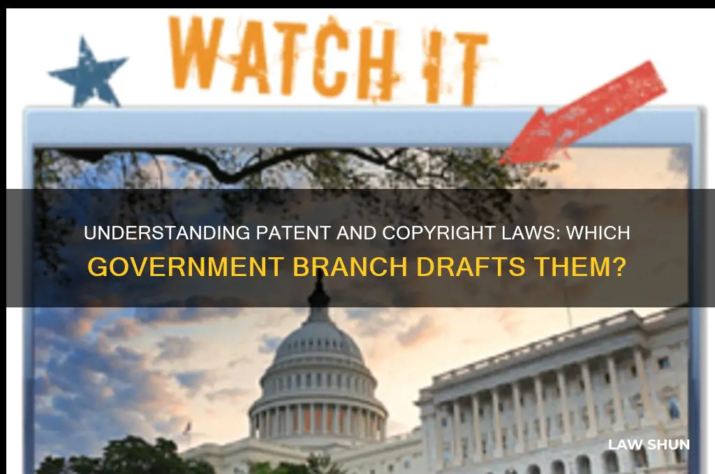 Understanding Patent And Copyright Laws: Which Government Branch Drafts ...