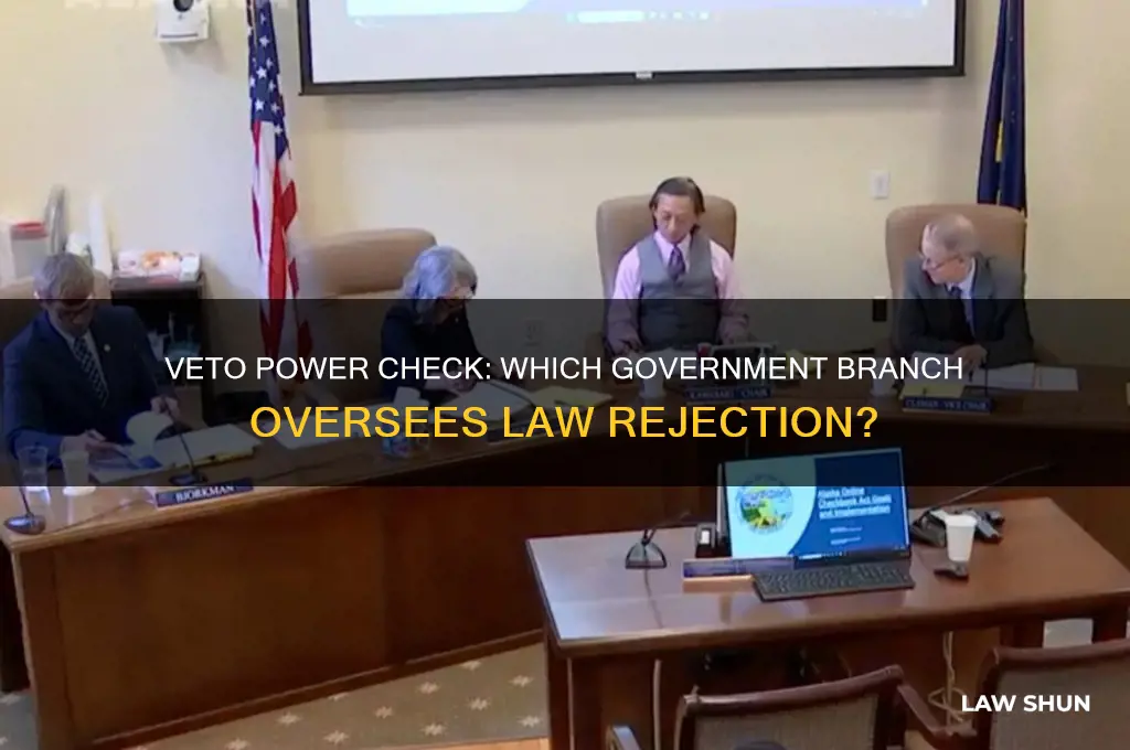 Veto Power Check: Which Government Branch Oversees Law Rejection? | LawShun