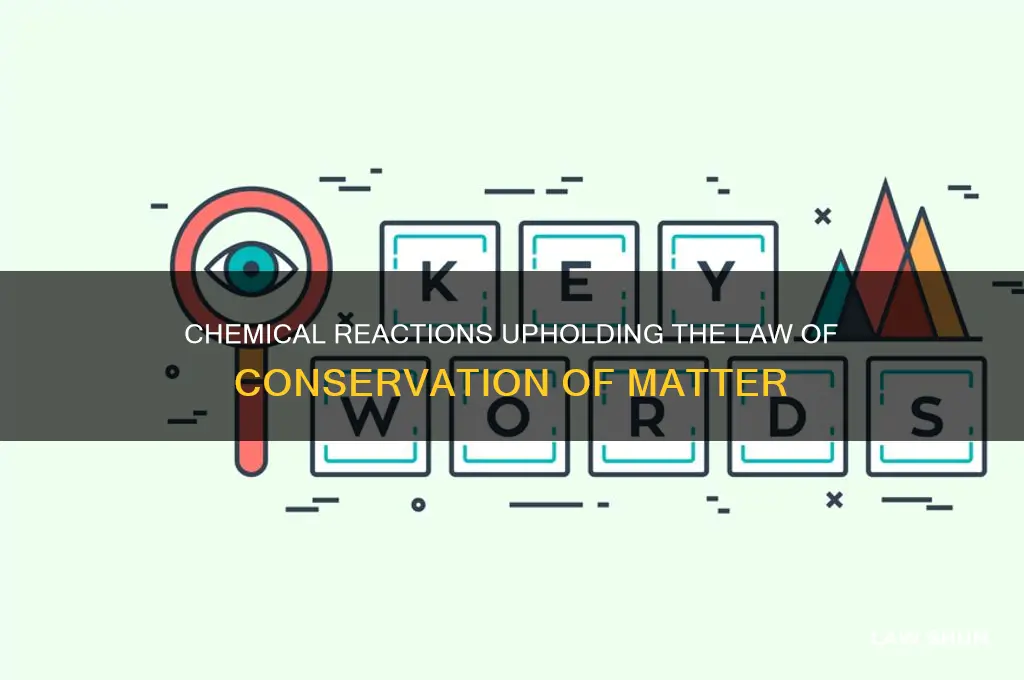 Chemical Reactions Upholding The Law Of Conservation Of Matter | LawShun